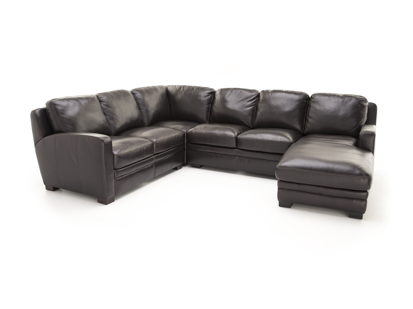 Carson 4-Pc. Leather Sectional | Steinhafels